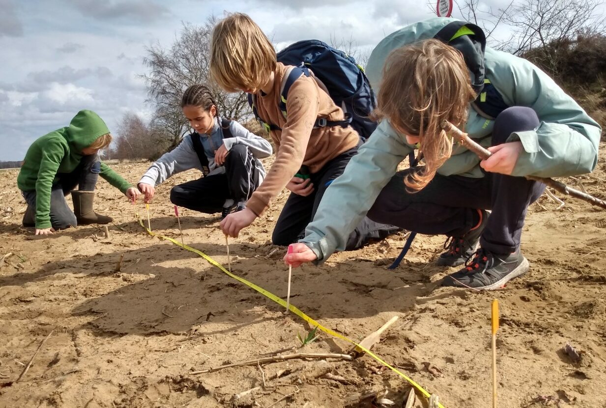 welkomwolf – op de bres voor een rijke natuur